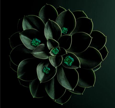 Green Boom: Why Colombian Emeralds Are 2017’s Hottest Rock - JCK