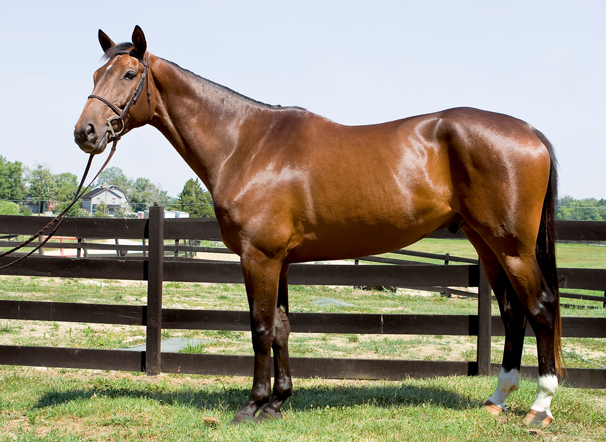 JCK Asks…Anthony Lent - JCK