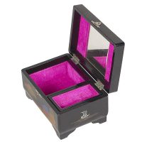 Intriguing Origins and History of the Jewelry Box Revealed in New Book ...
