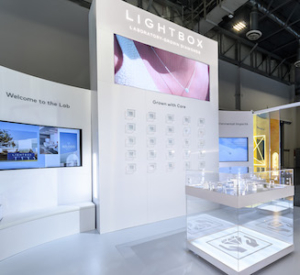Interview With Lightbox CEO Antoine Borde - JCK